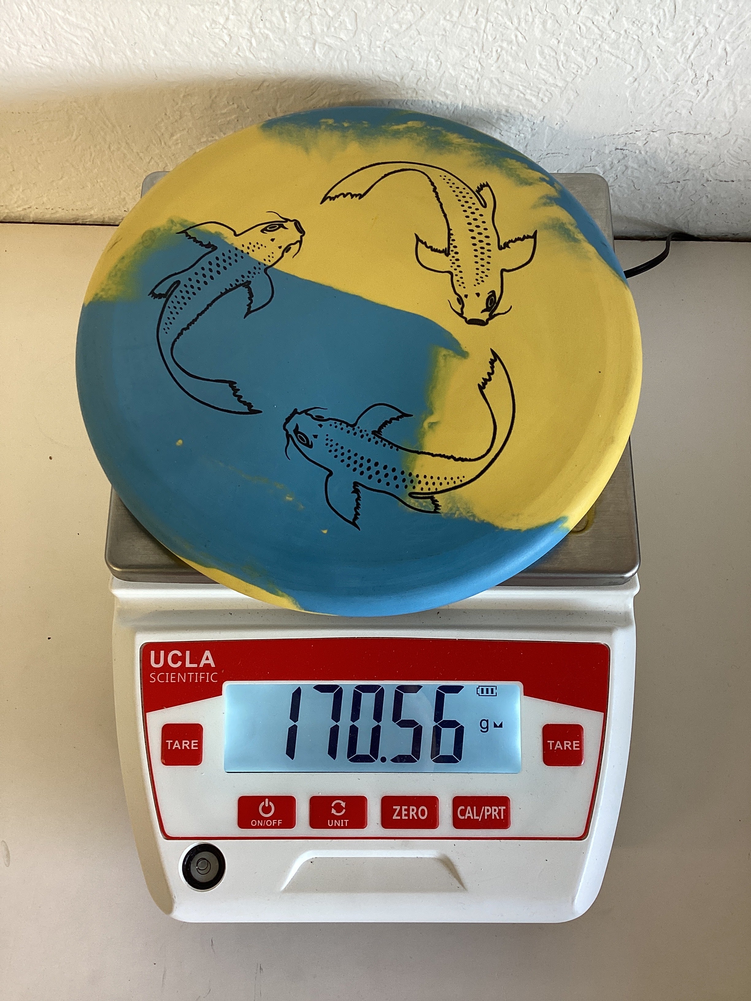 Elevation ecoFLEX Koi – Squirrelly Discs